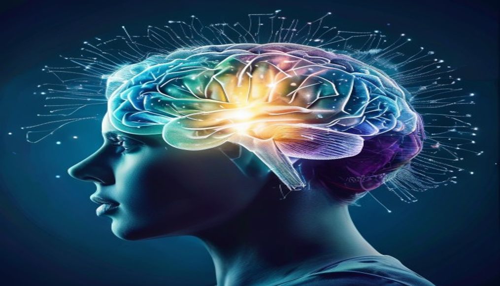 "Emotional Regulation and Executive Function: Understanding the Brain ...